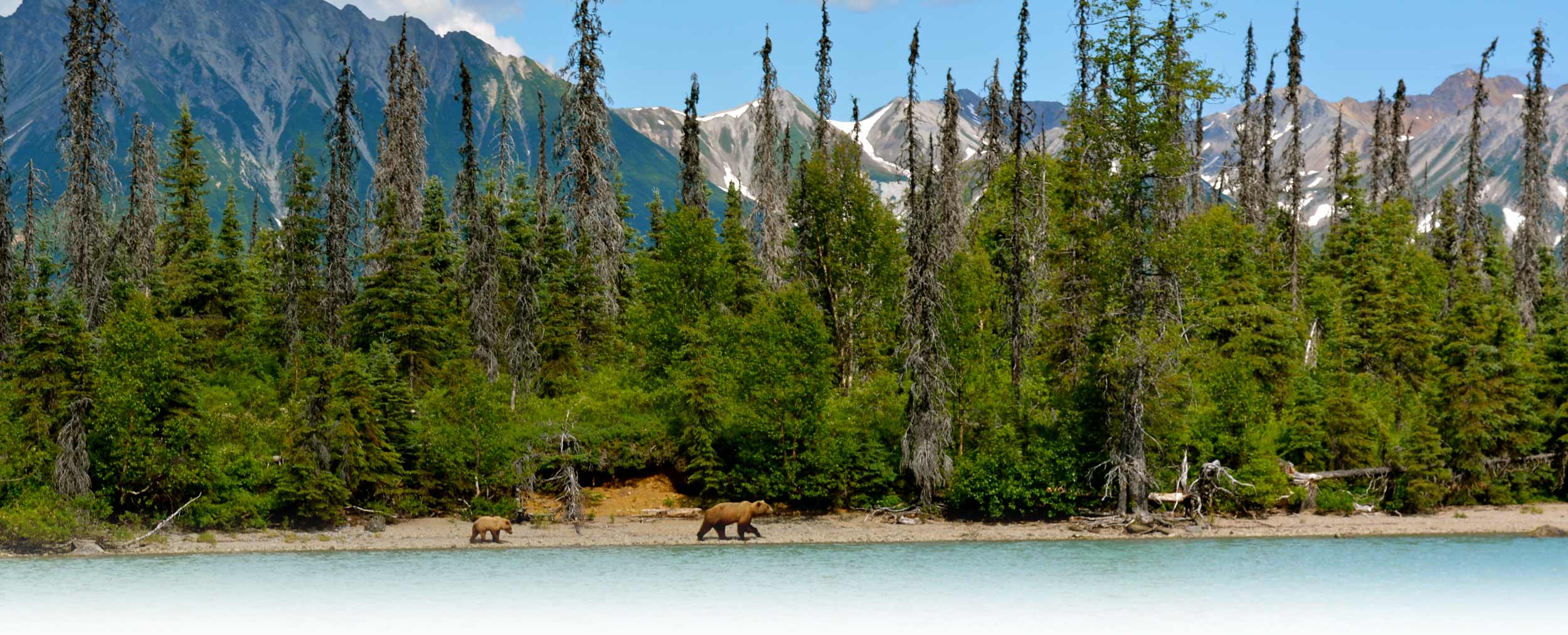 Redoubt Mountain Lodge - Alaska Fly Out